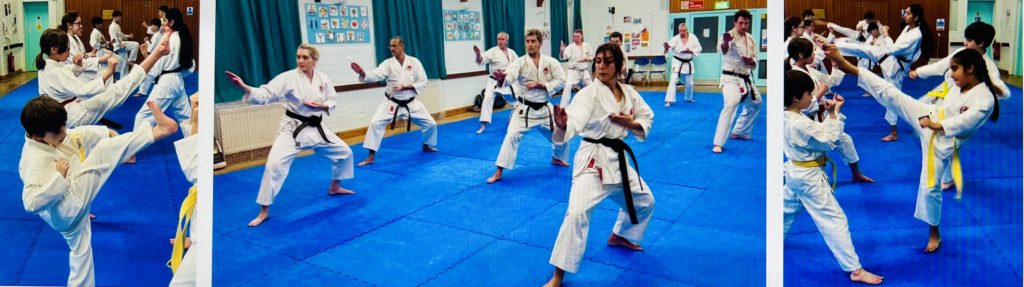 Windsor Karate - The School Of Traditional Karate
