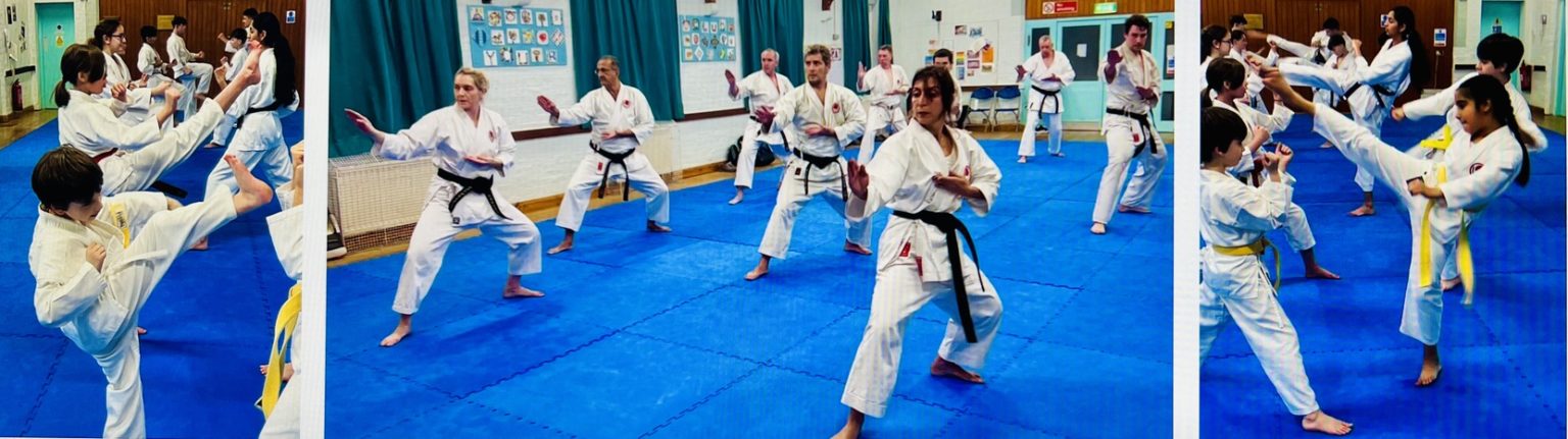 Windsor Karate - The School Of Traditional Karate